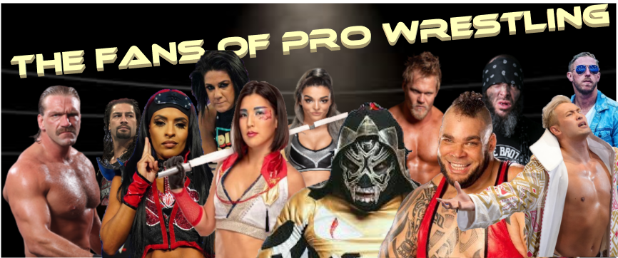 Our Top 10's - The Fans Of Professional Wrestling